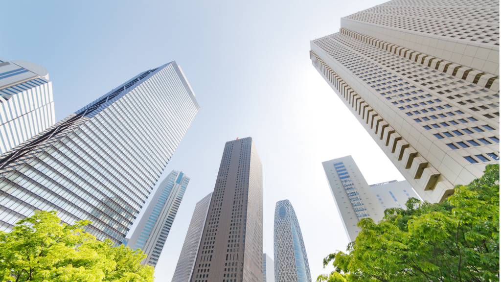 Savantis Solutions Overview Brief - Savantis Solutions